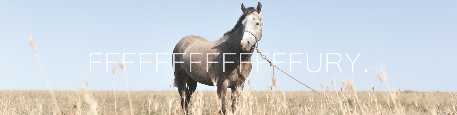 ΔΟ 2025 | ВКонтакте